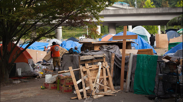 Introducing ‘The Triangle,' Seattle’s new ‘Jungle’ | KIRO-TV