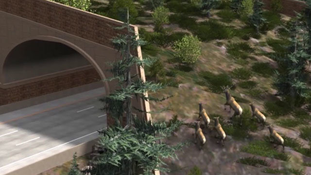 Animal overpasses on I-90 will grant safe passage to Washington ...