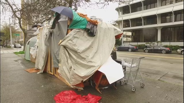 Seattle homeless 'tent mansion' low priority for city cleanup | KIRO-TV