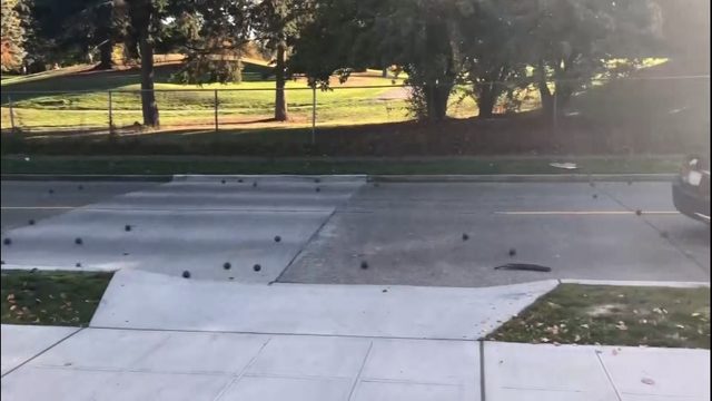 Metal balls spill onto West Seattle street | KIRO-TV